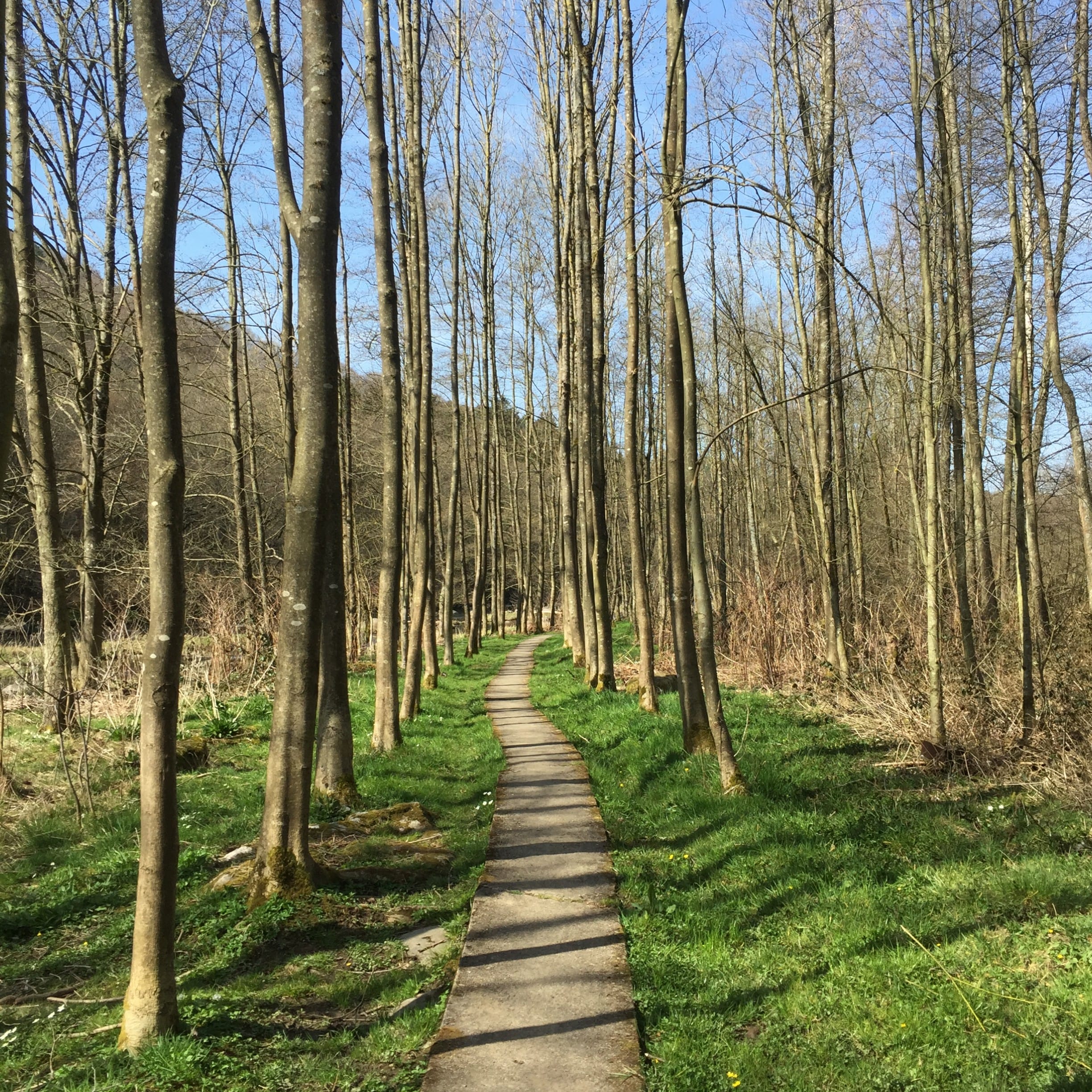 Le Ninglinspo : Topo Rando Trail - Sentiers du Phoenix