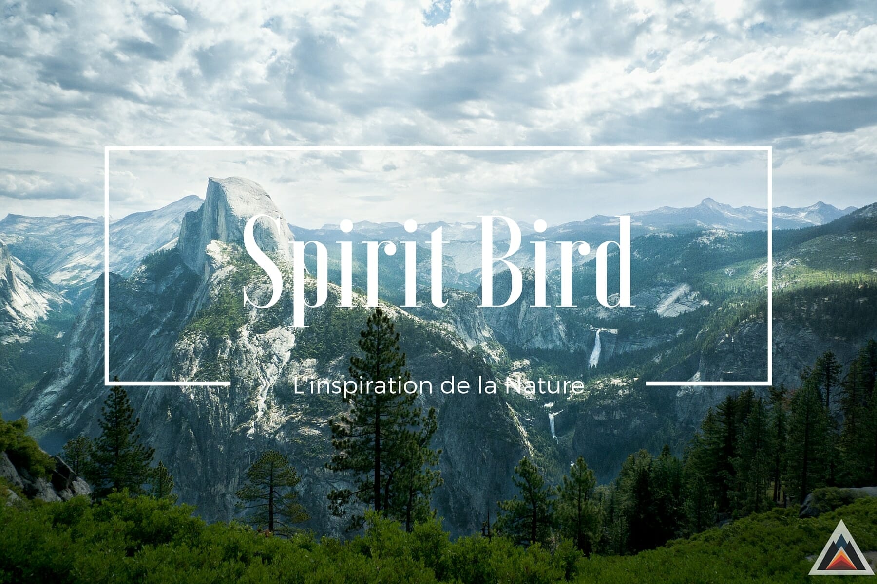 Spirit Bird : l'inspiration de la Nature - Sentiers du Phoenix